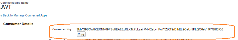 Salesforce API — JWT Authentication | by Code & Dogs | Tech Force | Medium
