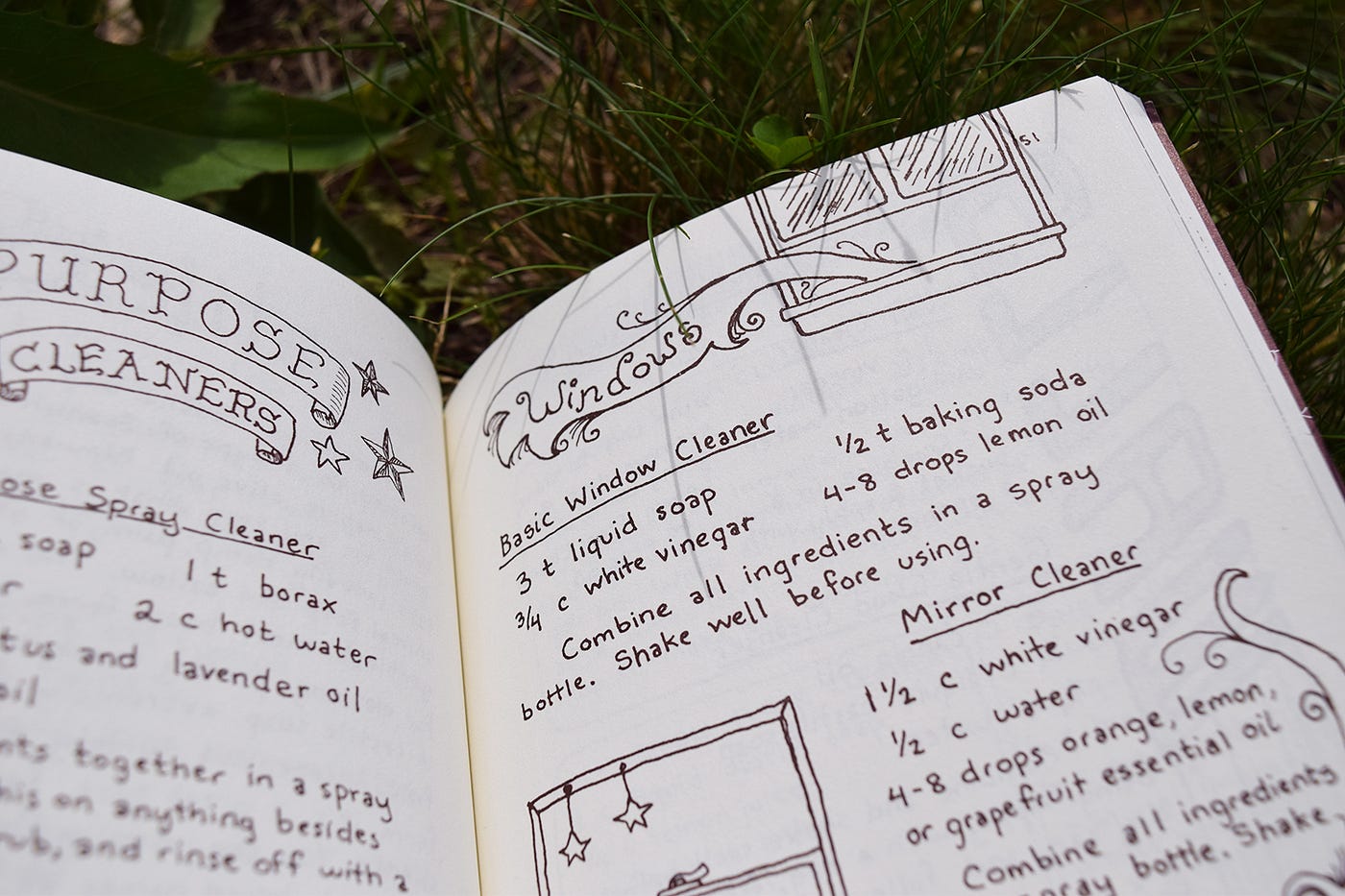 The green zine roundup: A few must-read eco zines | by Meg Crane ...