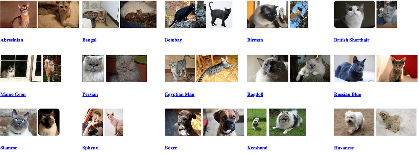 Tutorial 8: Comparing Different Data Augmentations with Oxford Pets ...
