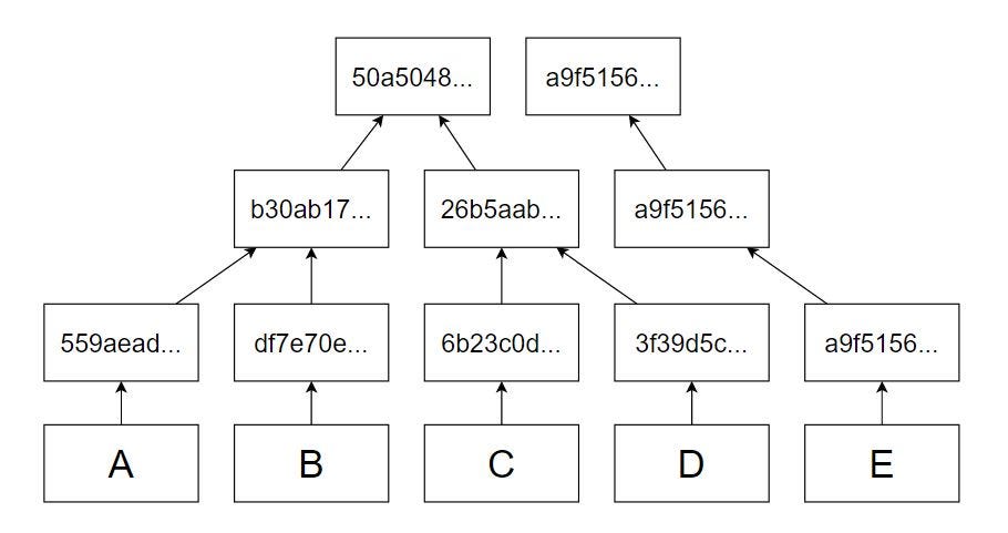 Implementing Merkle Tree and Patricia Trie | by Kashish Khullar ...