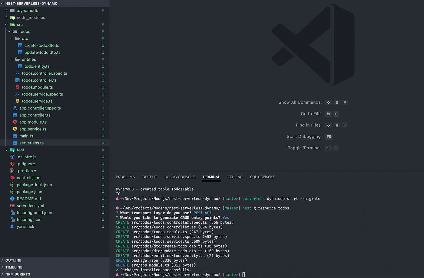 Using A Nestjs Application With Dynamodb And Serverless Framework On