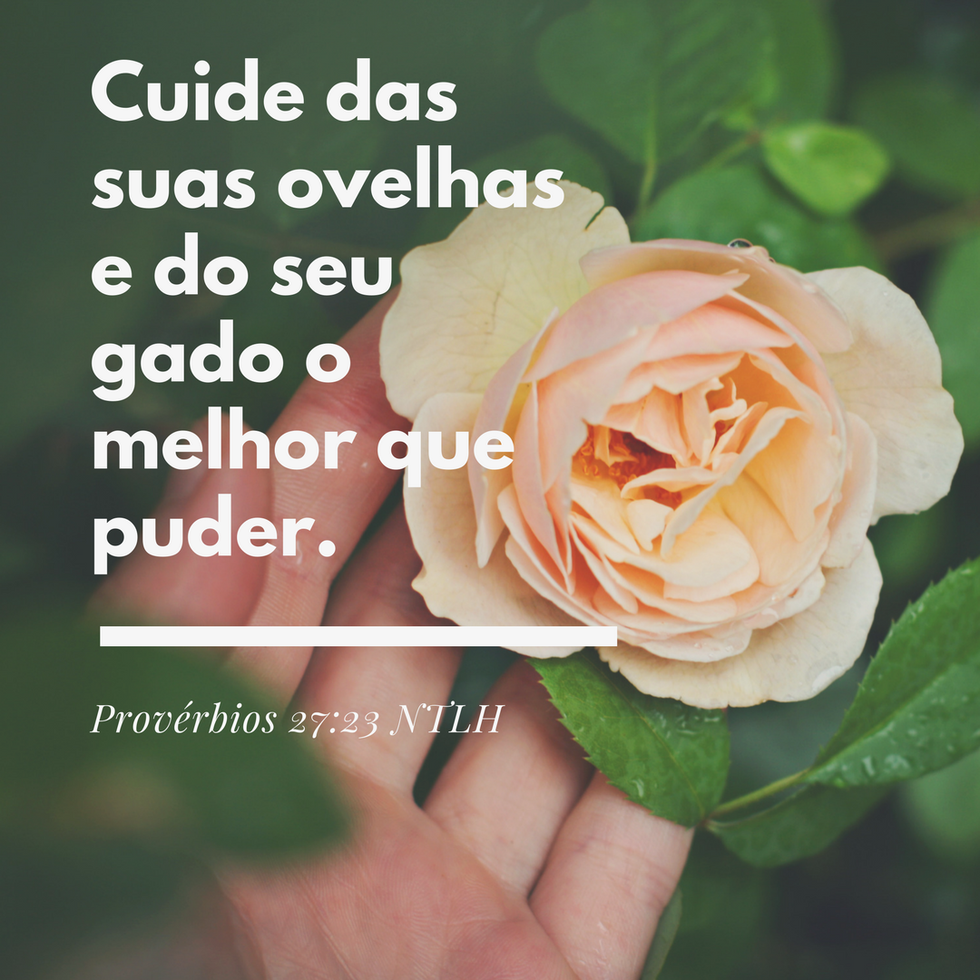 Cuidando da fonte — Provérbios 27:23 | by Harold Schultz Neto | Neemias ...