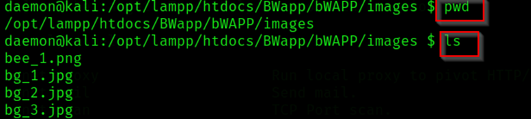 bWAPP— File Upload exploit using Weevely | by Kamal S | Aug, 2022 | Medium