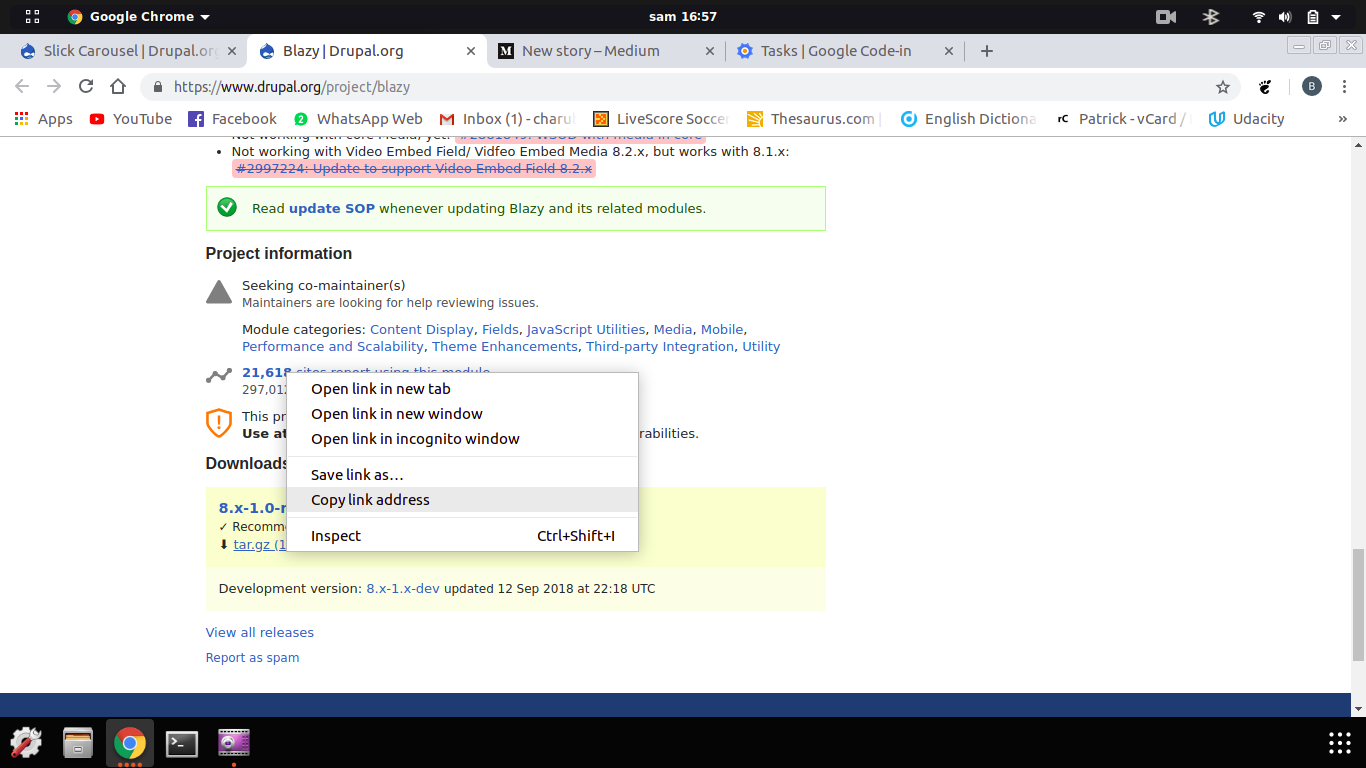 Add an image gallery slideshow to your Drupal blog/website | by Bagha Charuduth | Medium