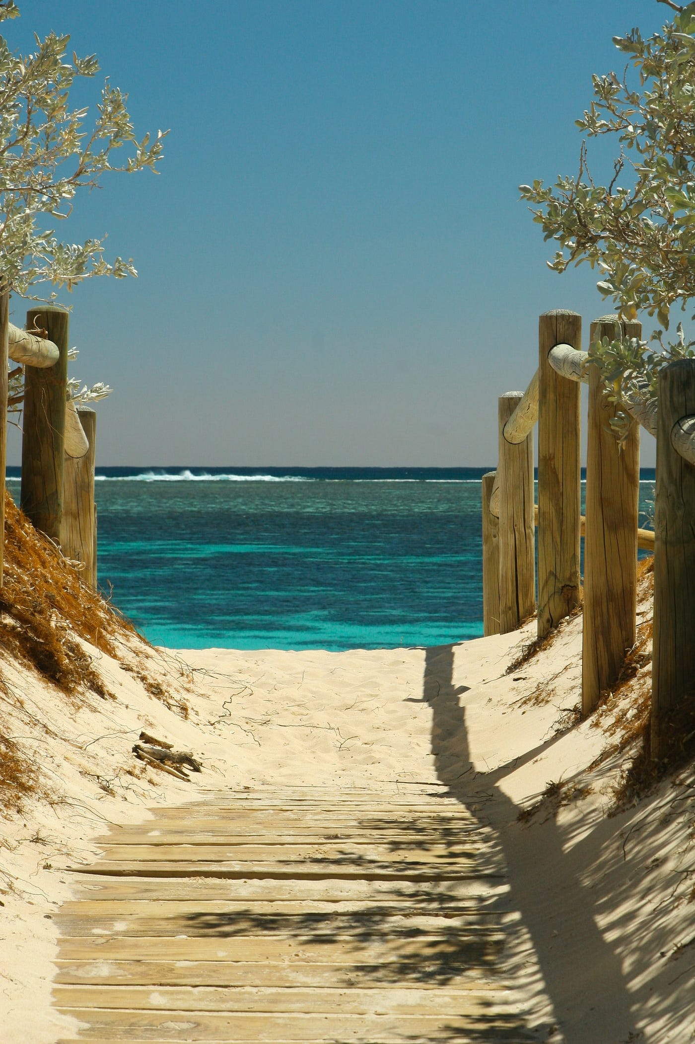 Get Ready for Summertime. Summertime tips | by Denise Larkin ...