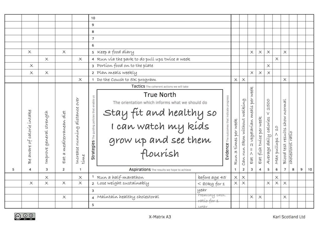 XMatrix Strategy Deployment Model | by Steve Tooke | Medium
