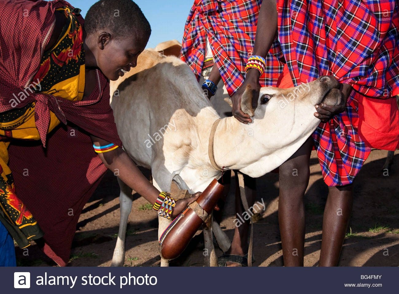 Drinking Cow Blood and Fight For Women, The Strange Tradition of Suri ...