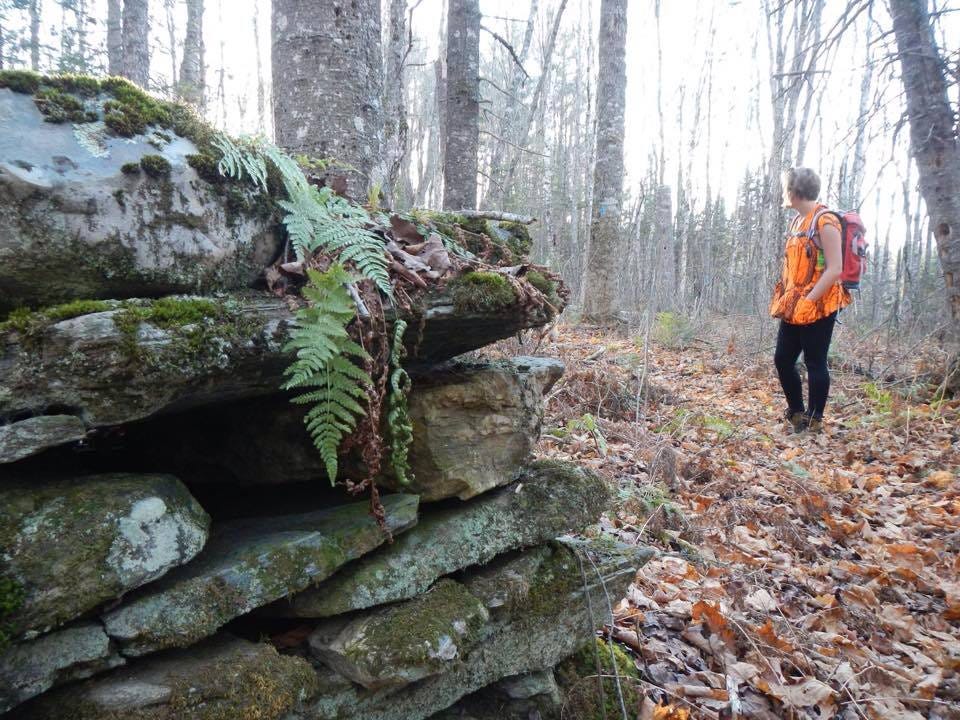 Hiking. Whitten Hill in Bowdoin, Maine has… | by Shelby Elonis | Medium