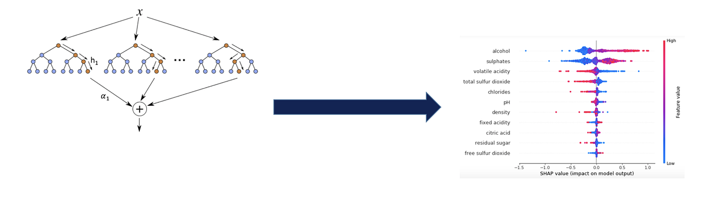 Opening the algorithm’s black box and understand its outputs | by Amine ...