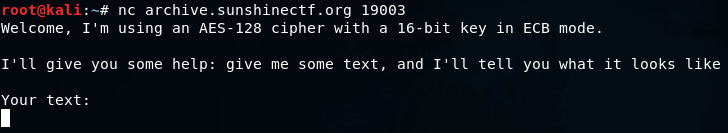 Sunshine CTF 2019 Write-up. At the end of March this year, Hack@UCF… | by George O | CTF ...