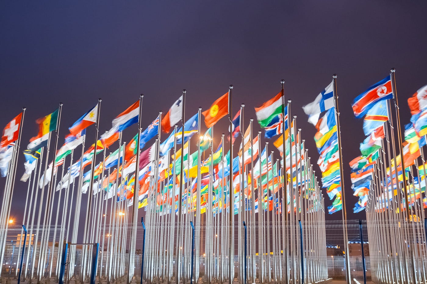 Your Roots Do not Matter. Does it matter where you are from? | by Igor ...