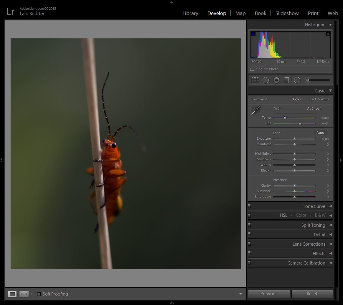 Macro Photography 3.1. Post-Processing | by Lars Richter | Medium