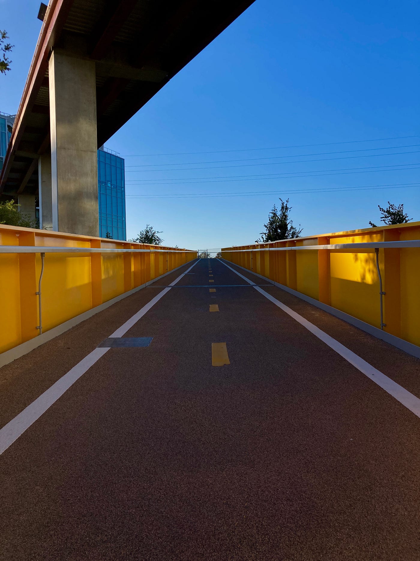 This Suspended ‘Yellow Brick Road’ in the Bay Area Is Wizardly