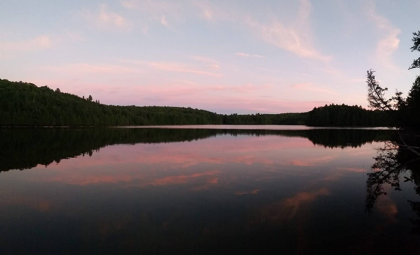 Lucid Lake. The force that built this crescendo… | by Sam antha ...