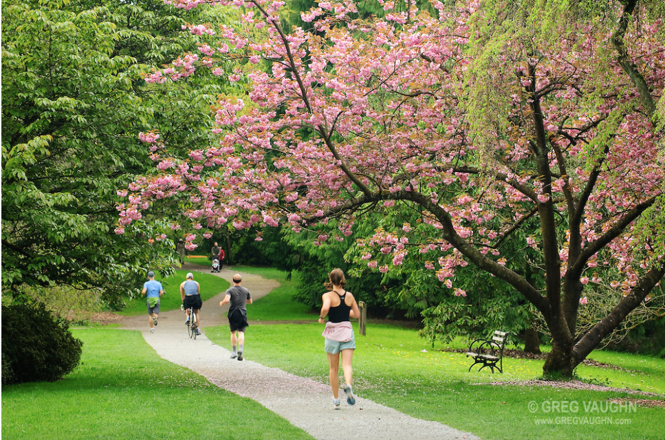 Great Runs Seattle. Seattle, also known as the Emerald… | by Ariana ...