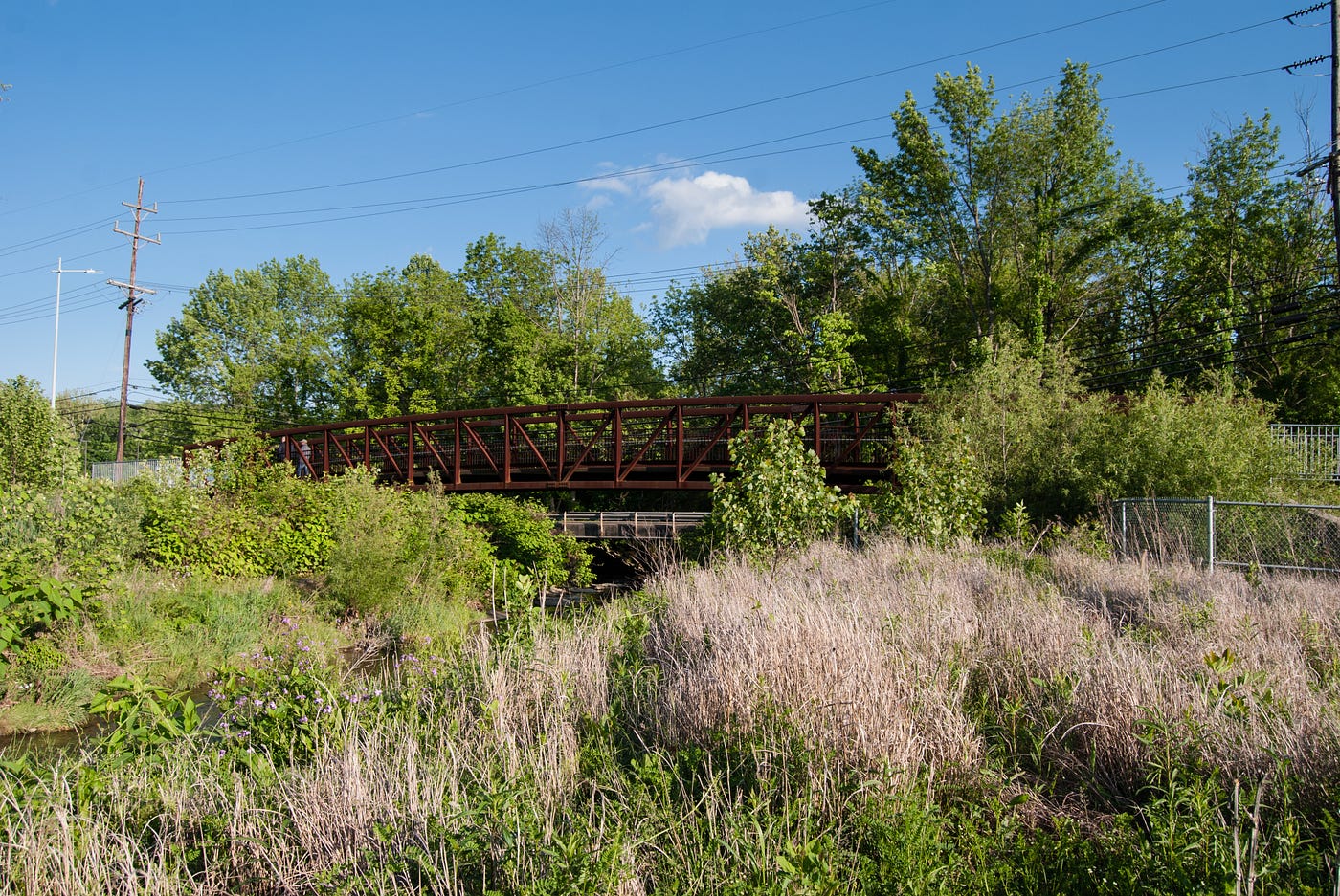 An Urban Marsh in Photos. The intersection between art and… | by David ...