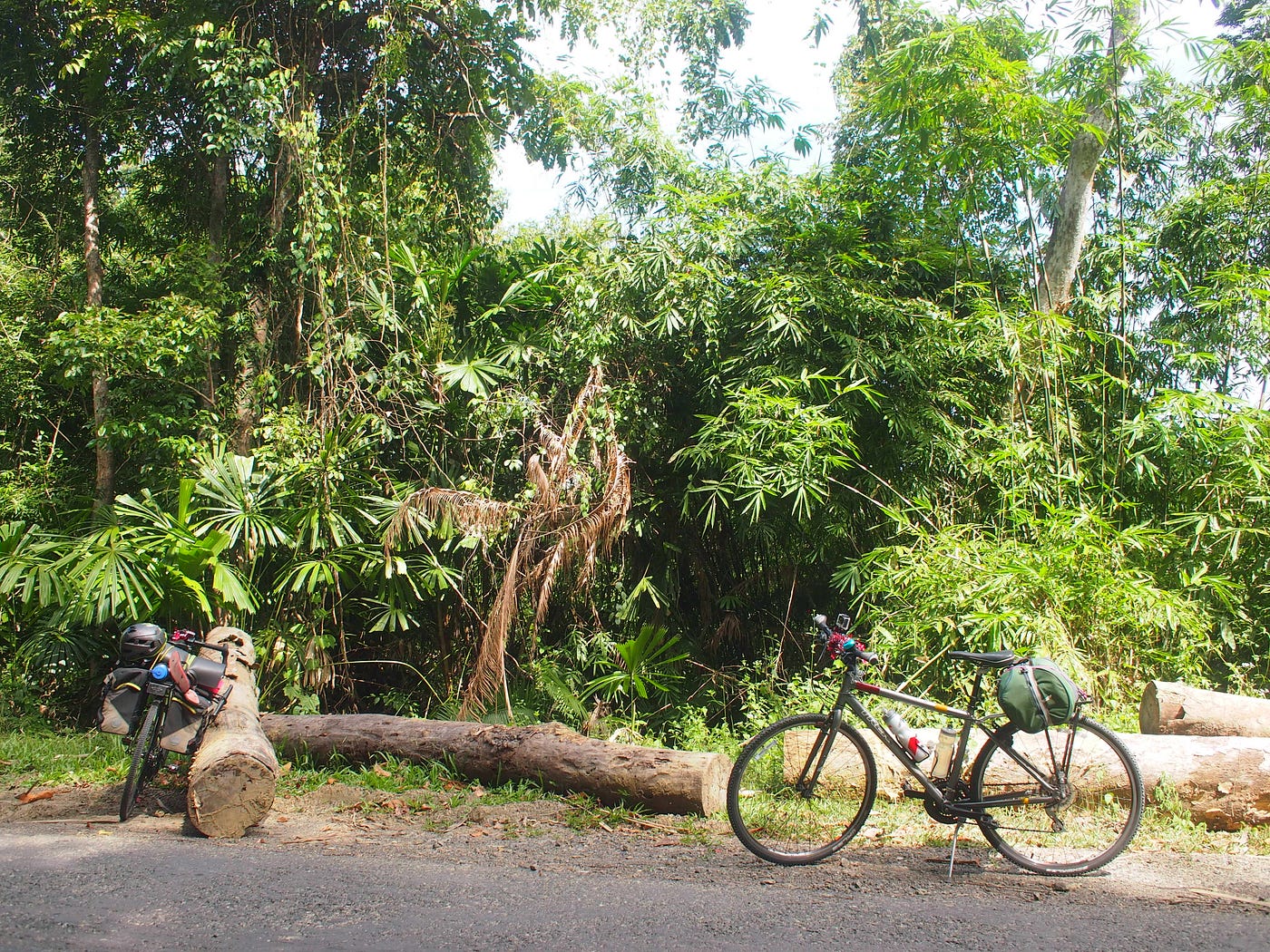 Andaman Trunk Road on a cycle. Andamans is where people go to dive ...
