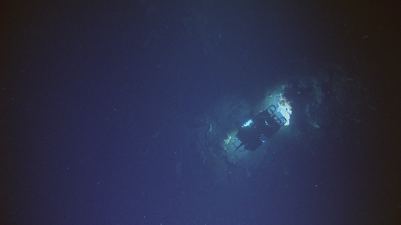 BOWIE SEAMOUNT (2048). An imaginary from the future ocean… | by Will ...