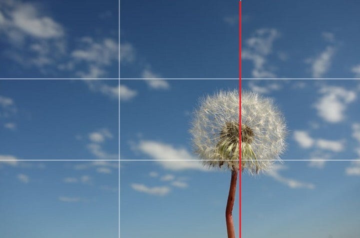 Use Photoshop’s Crop Tool to Improve Your Photo Compositions | by ...