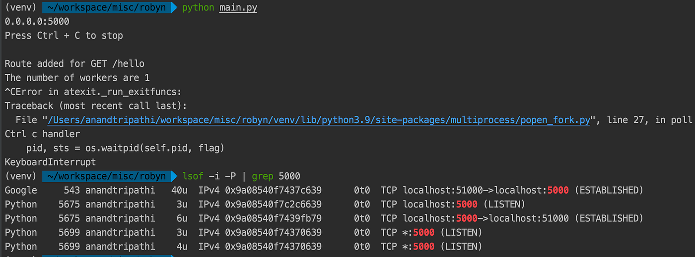 Meet Robyn, younger brother of the Flask web framework | by Anand Tripathi | Pythonistas | Medium