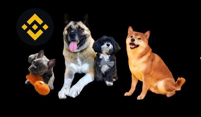 CRYPTO CANINES — Meet the cute and cuddly canines dominating the BSC ...