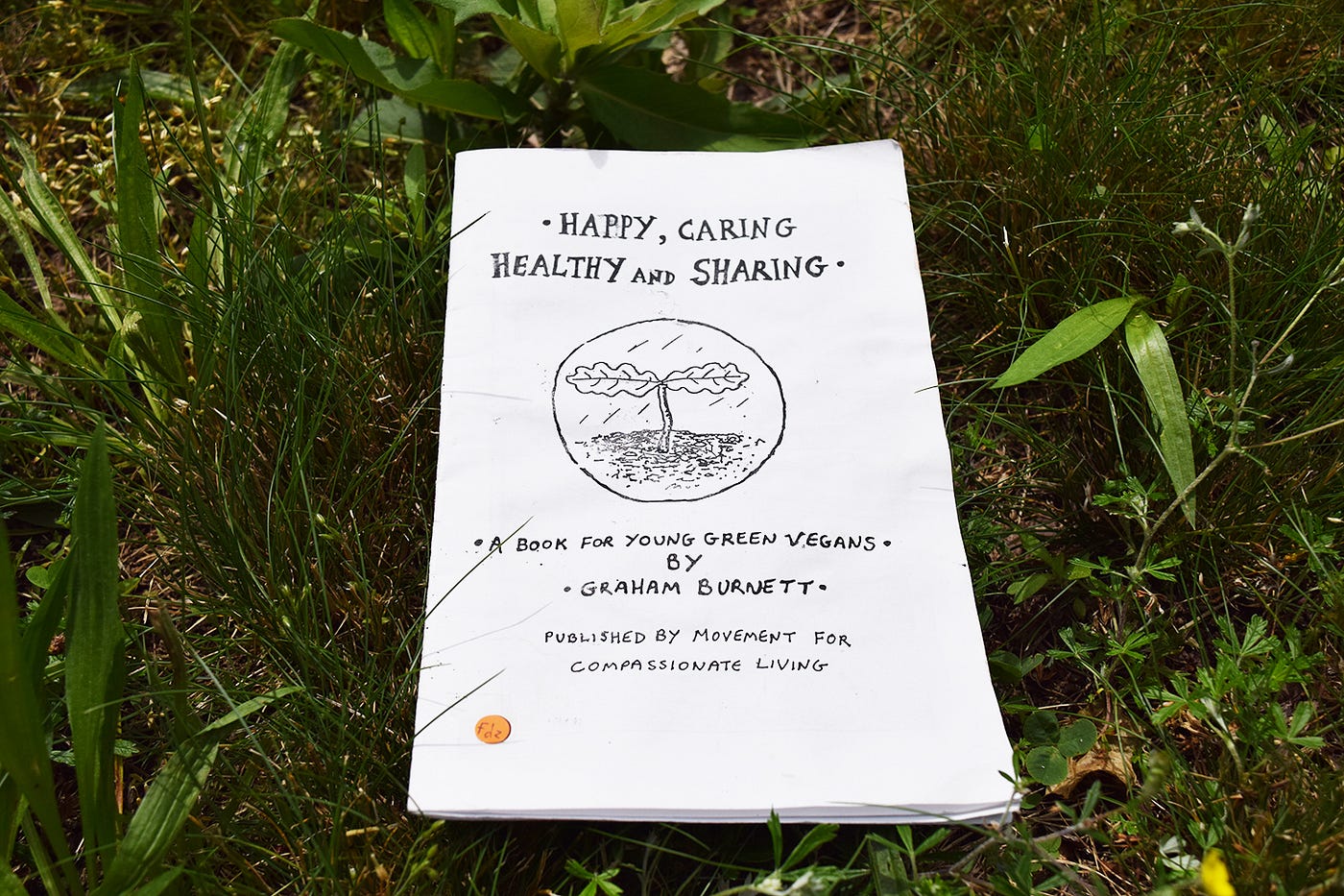 The green zine roundup: A few must-read eco zines | by Meg Crane ...