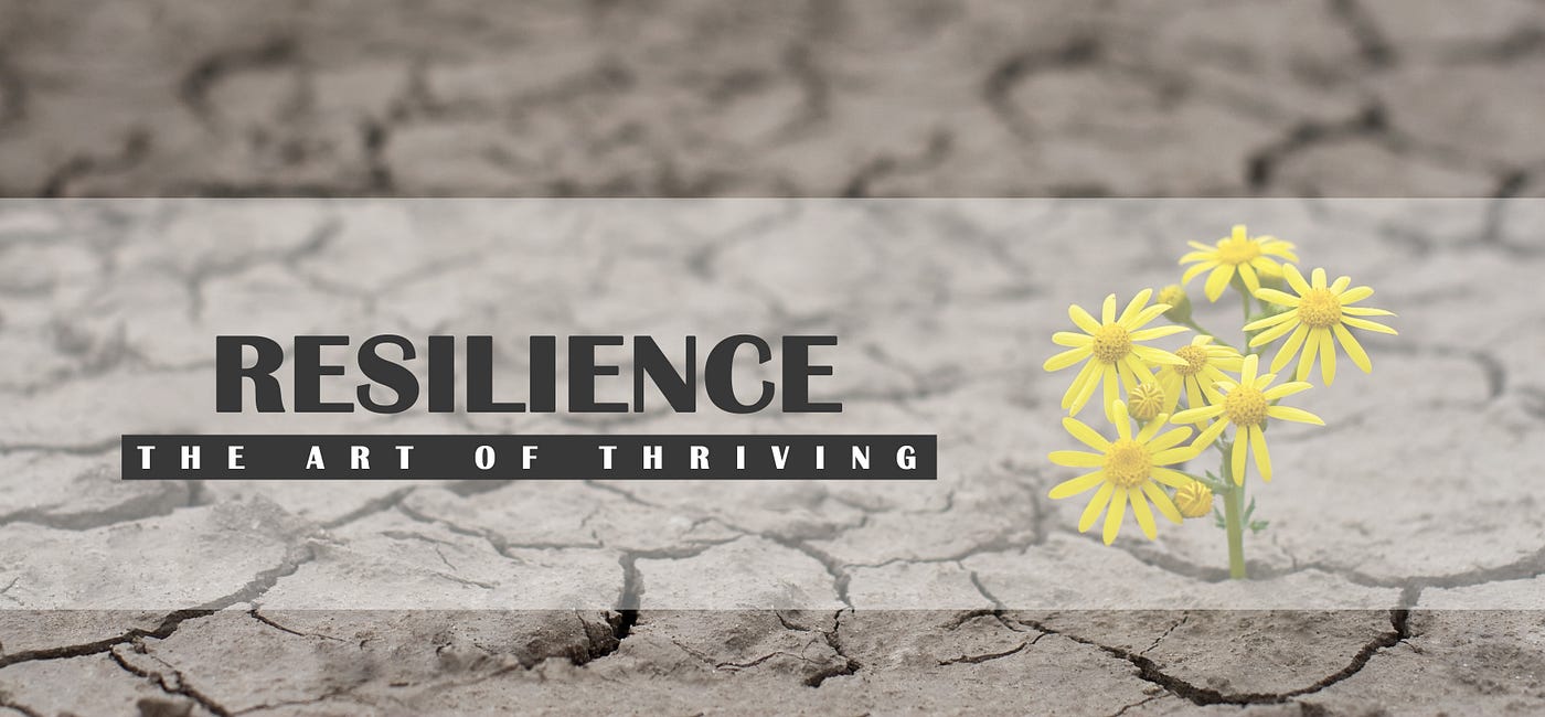 Resilience — The art of thriving. ‘ The ability to withstand or recover ...