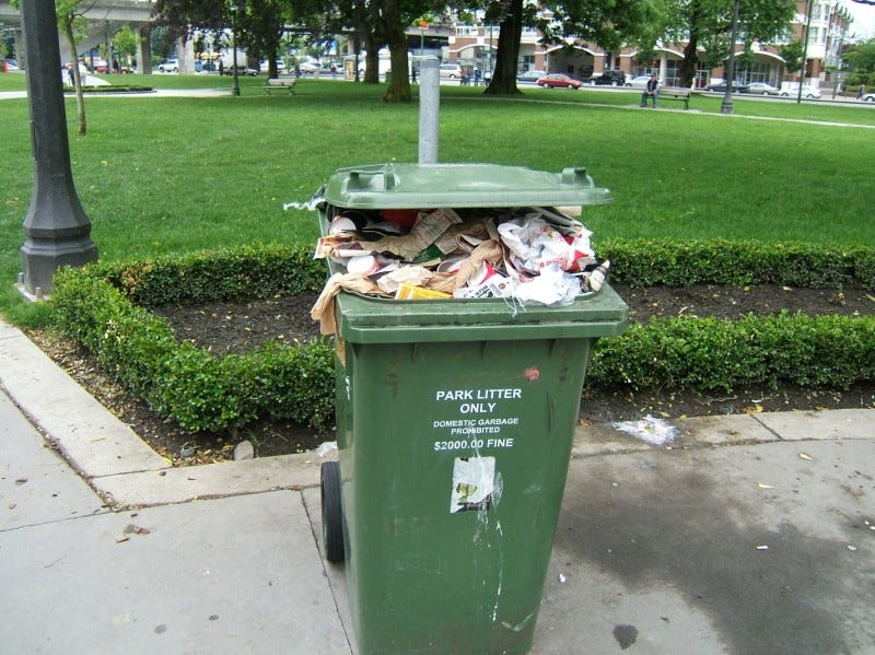 Welcome to “Eating From the Trash Can” | by Fox Doucette | Medium