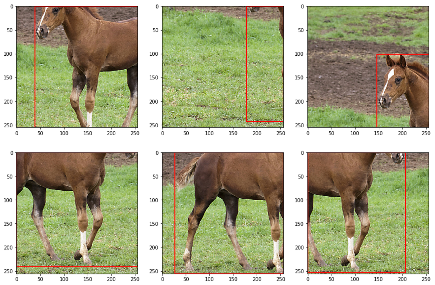Overview of Albumentations: Open-source library for advanced image ...