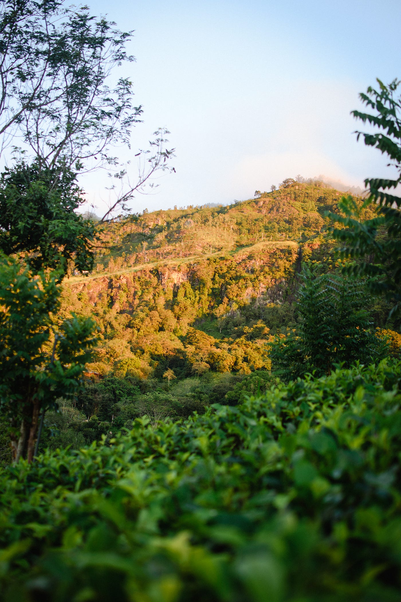 Treks to see Bamabarakanda, Diyaluma, Pahanthudawa waterfalls | By ...