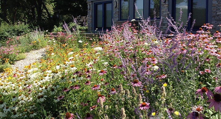 Thinking And Creating In Layers How Perennial Gardens Are Designed Thinking And Creating In Layers How Perennial Gardens Are Designed