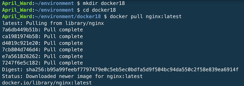 Pushing a Docker NGINX image to AWS ECR | by April Ward | Sep, 2022 ...