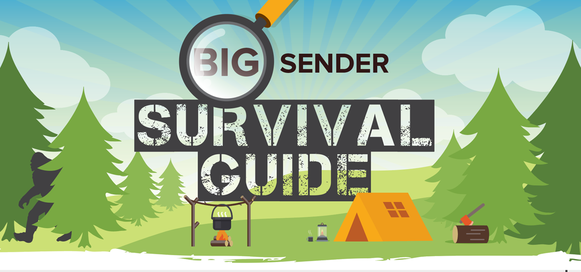 A Survival Guide for Big Email Senders | by iContact | Marketing and ...