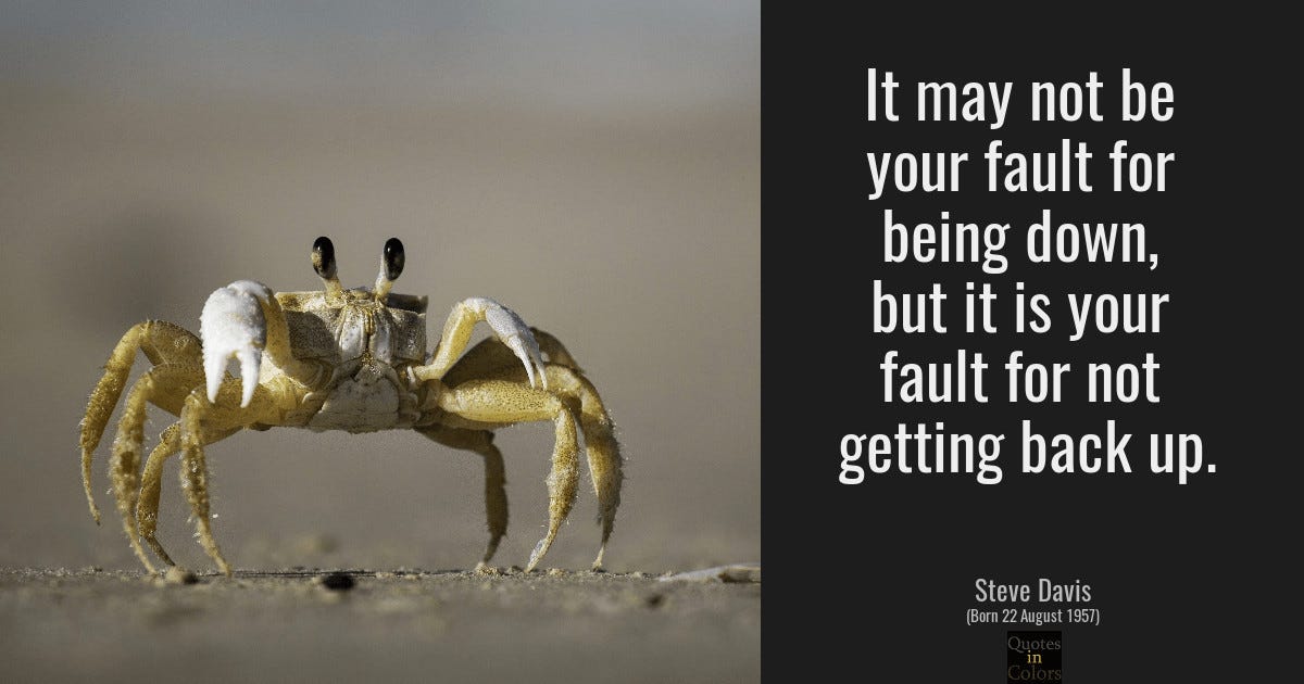 Quotes for August 22nd. Here are five quotable quotes on CC0… | by ...