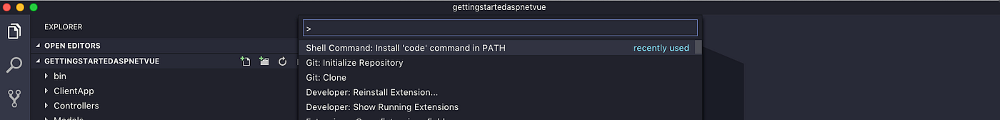 Up & running with Asp Net Core + Vue.js | by Jordan | Medium