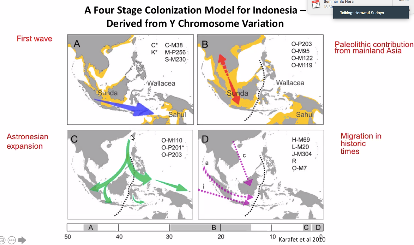 The Origin of Indonesian Humans. Scientists found diverse humans ...