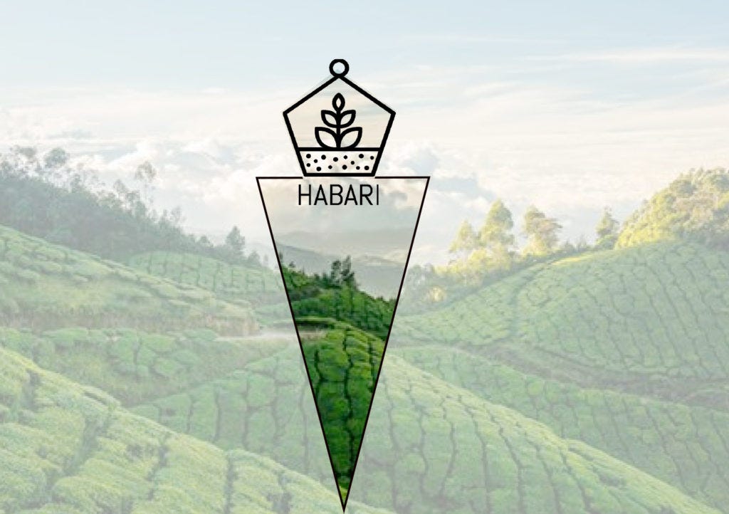 Seven international teams advance in the Biomimicry Launchpad | by ...