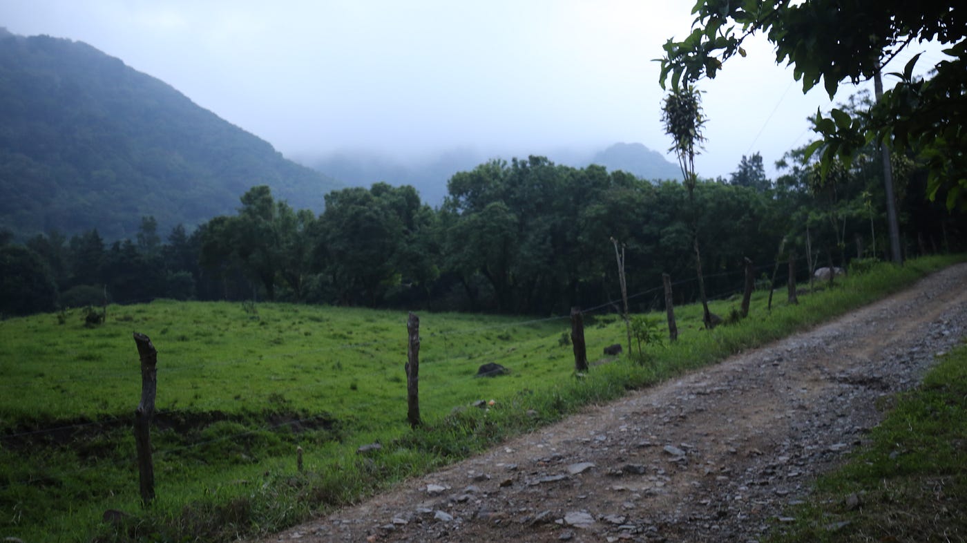 The Long and Winding Road. That Leads to the Vargas Door | by tara ...