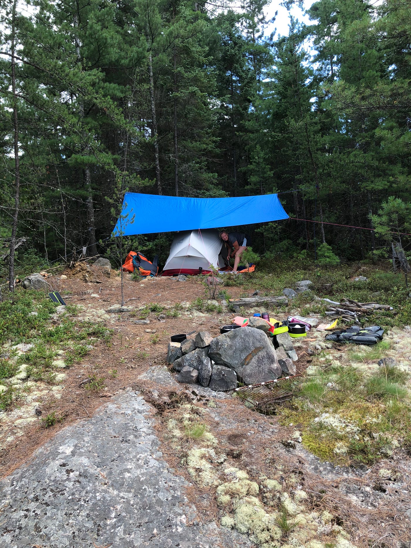 We Heard It Walk Away on Two Feet In An Old Growth Temagami Forest | by ...