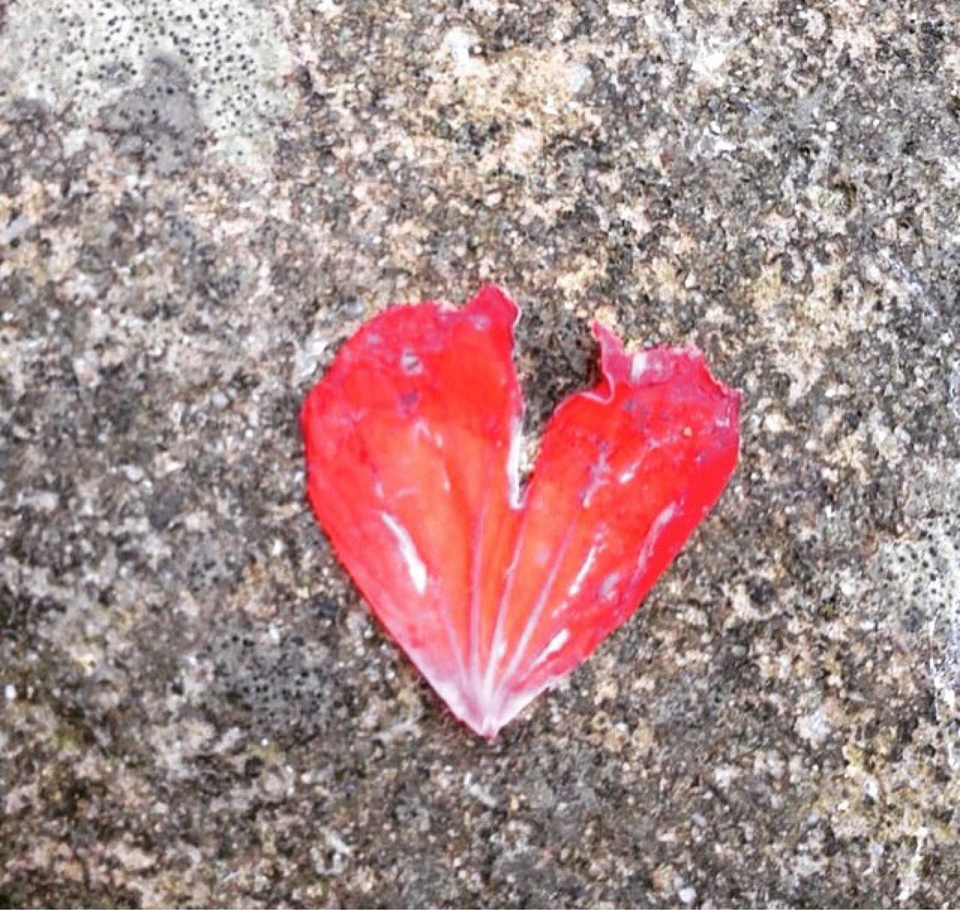 Hidden Heart Art.. I often see a hidden heart looking back… | by ...
