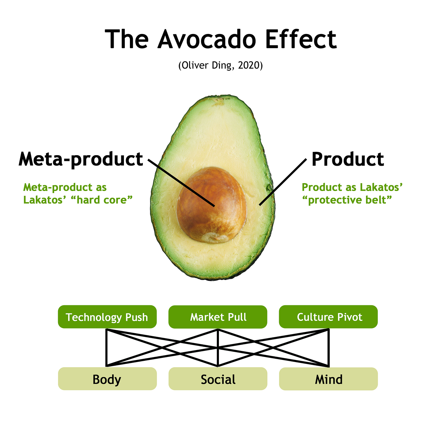 The Avocado Effect #1: Introduction | by Oliver Ding | CALL4 | Medium