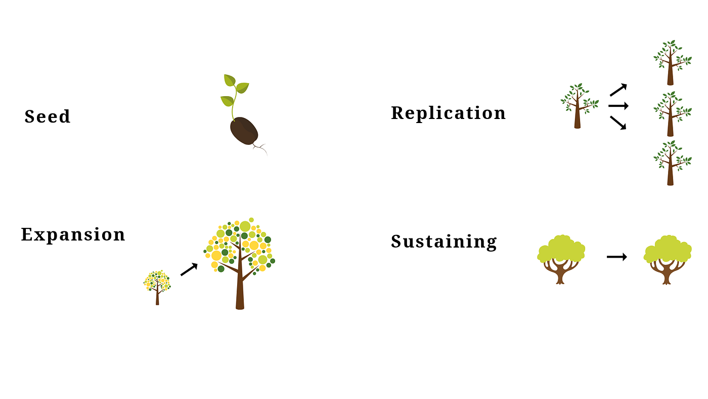 The Four Types of Grants: A Framework for High Impact Grant Making | by ...