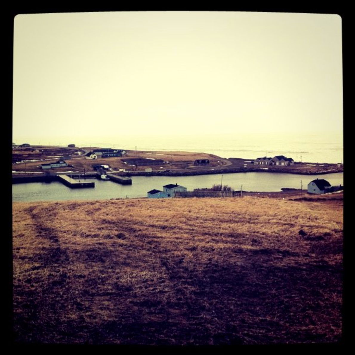 The Hidden Meaning of Insta-Nature Colors | by Kate Imbach | Medium