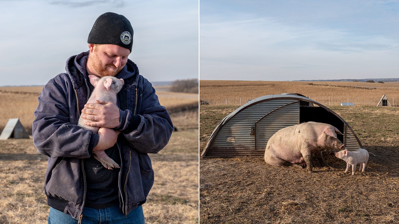 Farmers Need Help for a Chance to Succeed | by Brian Niccol | Medium