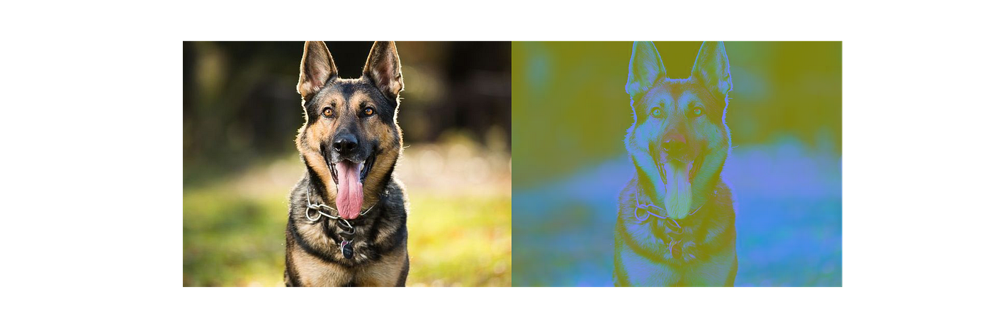 Color Shape And Texture Feature Extraction Using Opencv By Ray Mlearningai Medium