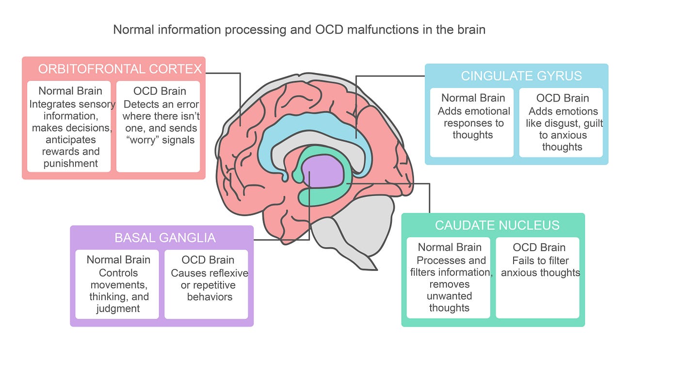 OCD Is Not An Adjective. It’s time to learn the truth about the… | by ...