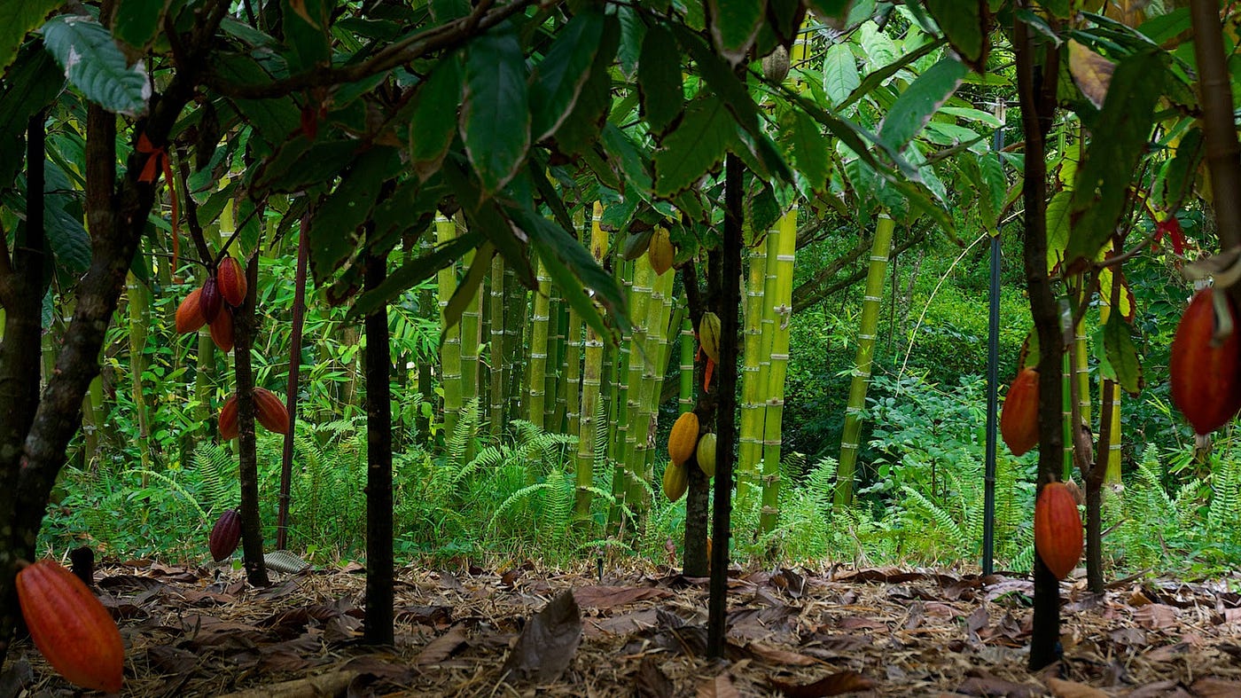 Blockchain to restore trust in food supply chains? — A case study in ...