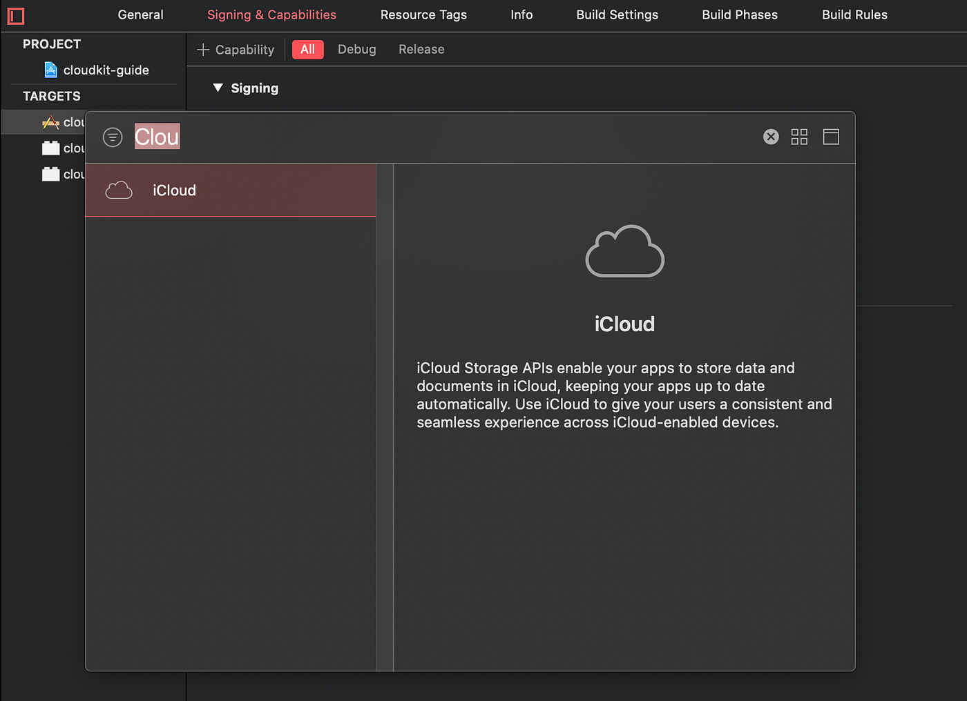 A simple guide on setting up and using Apple’s CloudKit framework. | by Raul Rodrigues | Medium