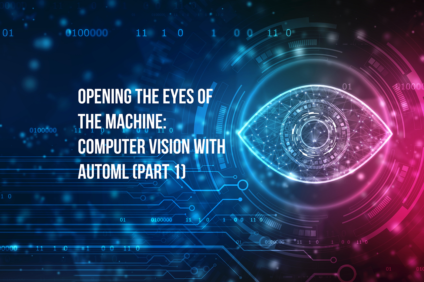 Opening the eyes of the machine: Computer vision with AutoML (Part 1 ...