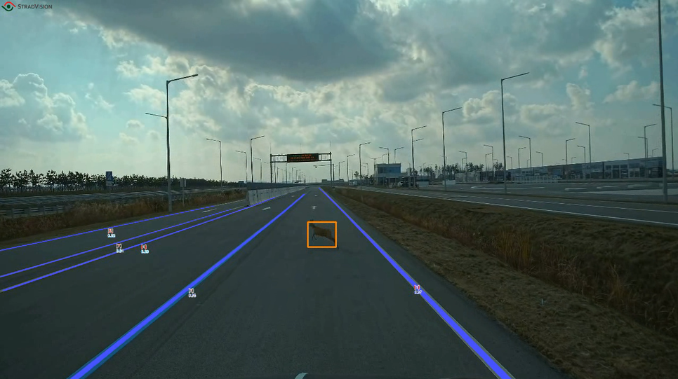Deer Crossing and Object Detection | by StradVision Team | StradVision ...